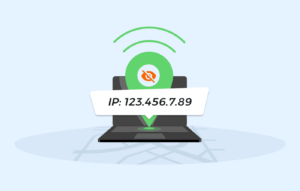 How to Hide IP Address in 2025 (A Comprehensive Guide) - PrivacyRadar